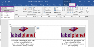 How To Use Copy & Paste In Label Templates Accurately & Efficiently!